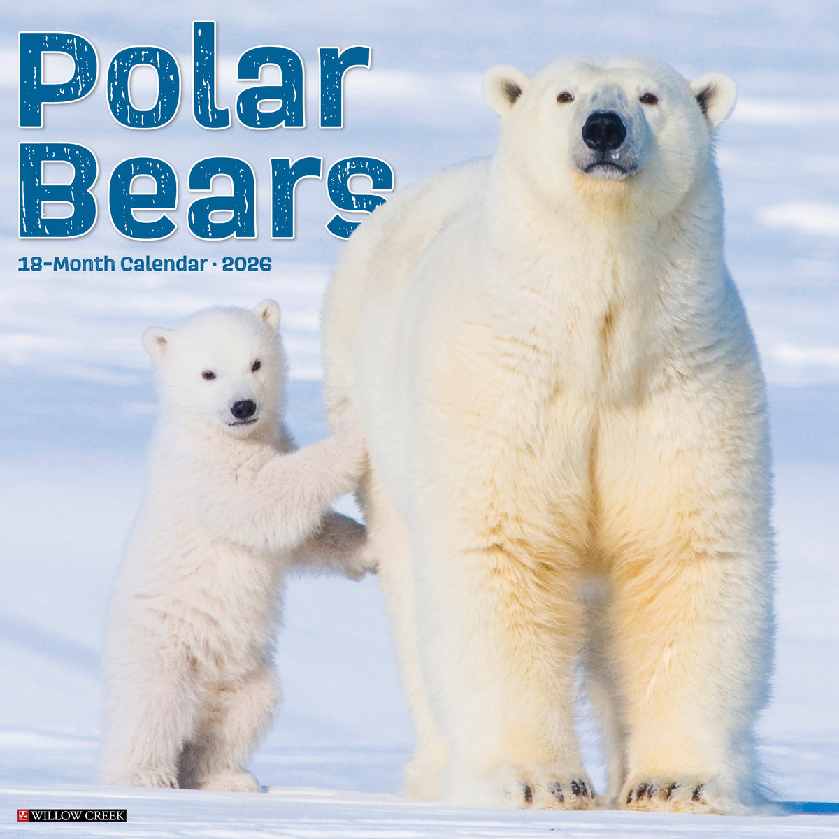 Polar Bears 2026 12" x 12" Wall Calendar – Willow Creek Press